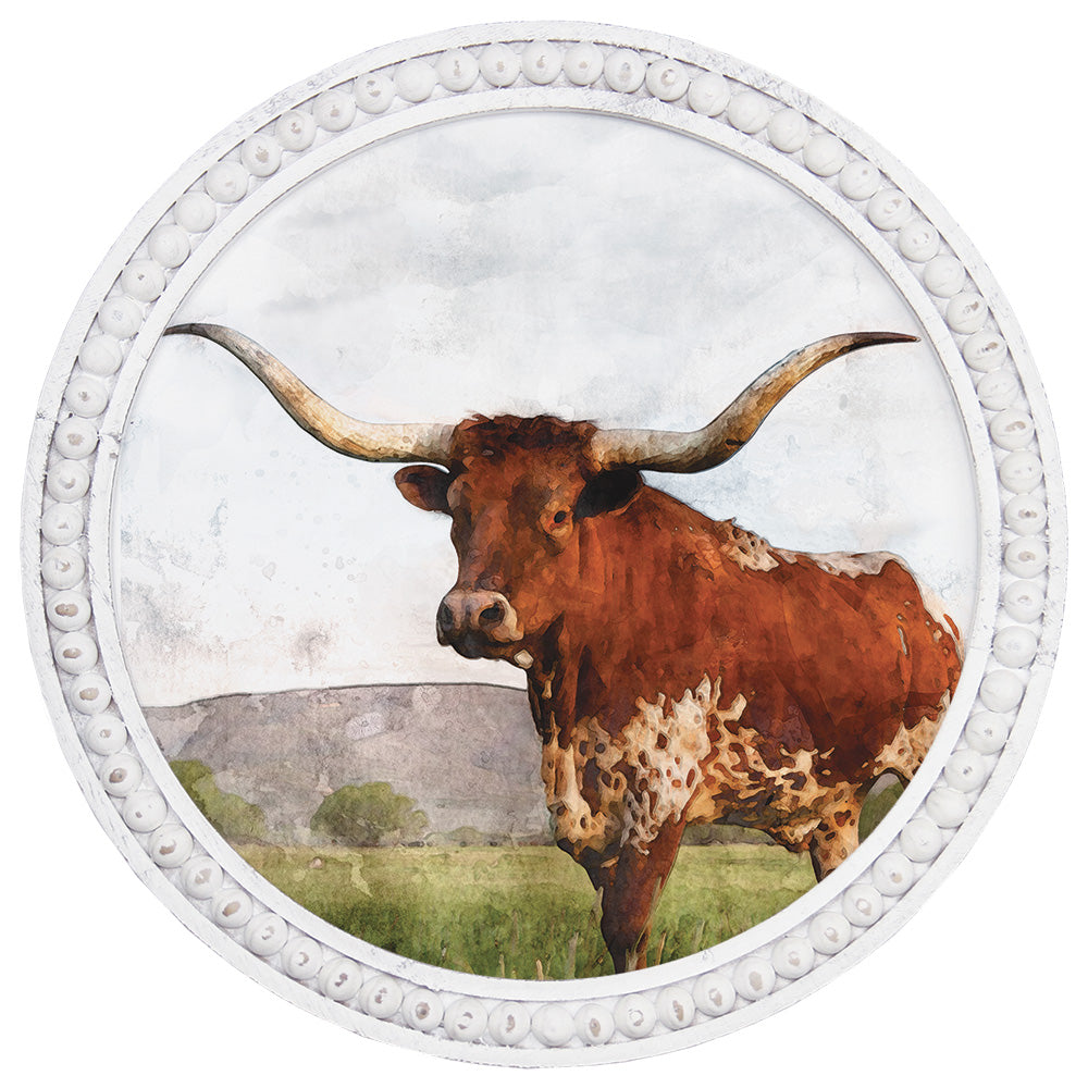 Longhorn Scene – Sincere Surroundings