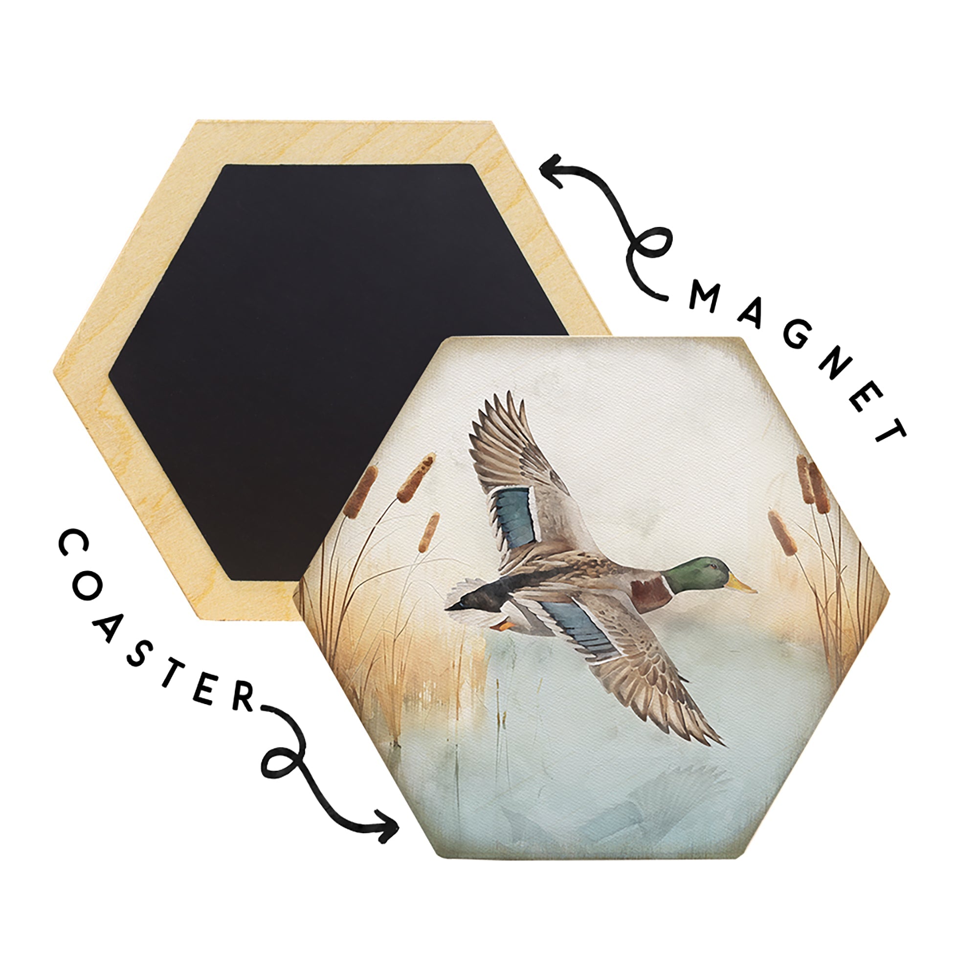 Duck Cattails Scene