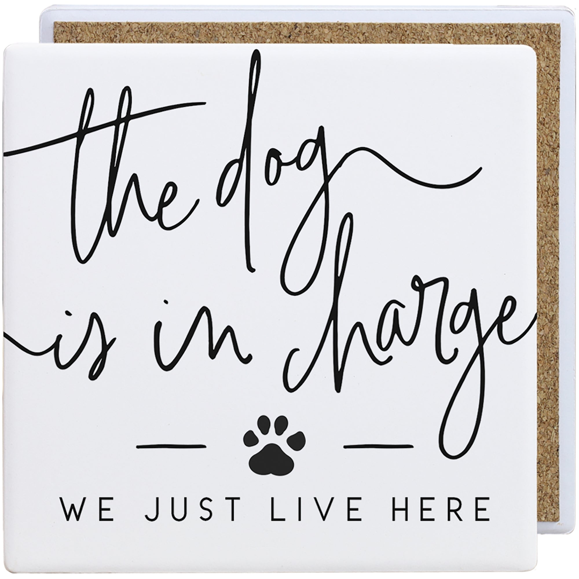 Dog In Charge PER