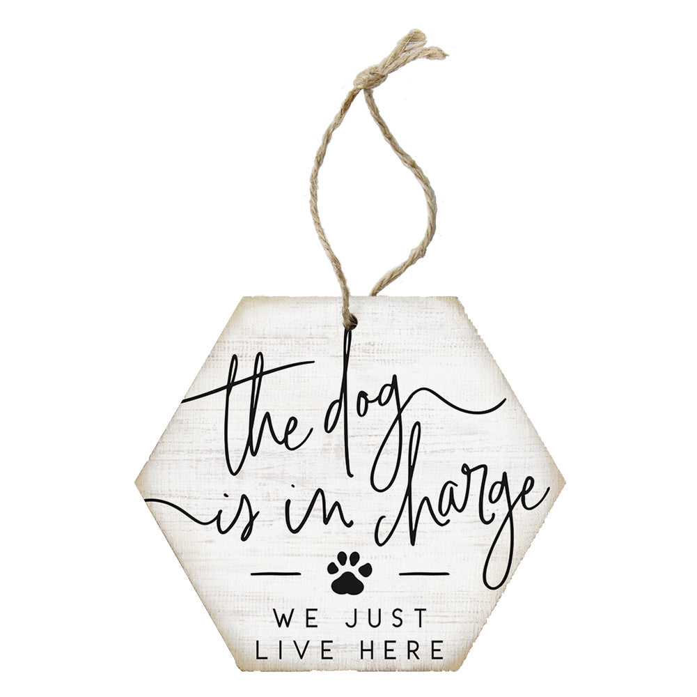 Dog In Charge PER – Sincere Surroundings