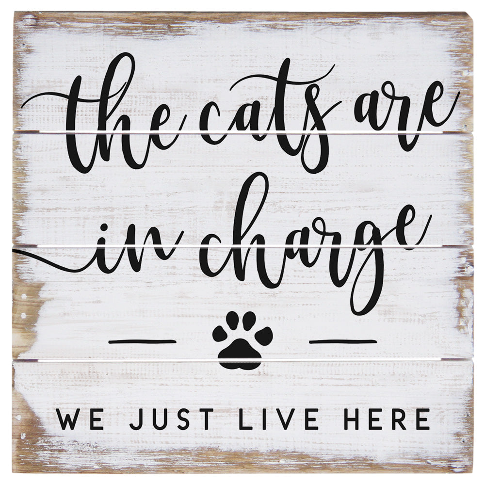 Cats In Charge PER – Sincere Surroundings