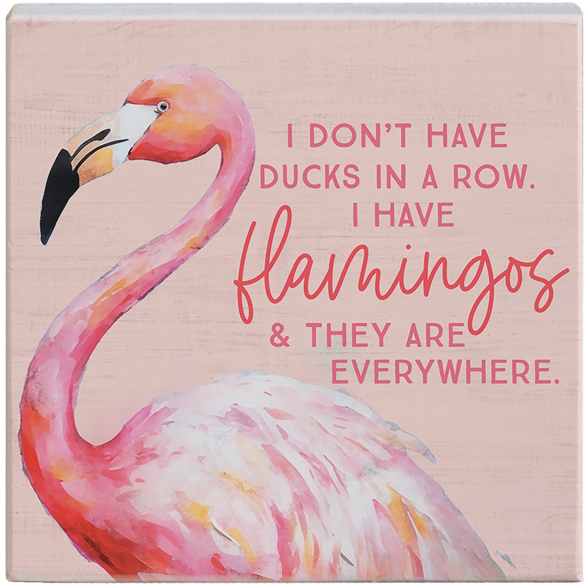 Flamingos Everywhere